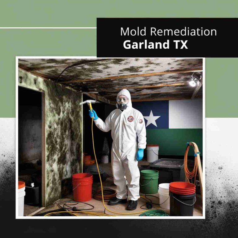 Mold Remediation Garland TX – Call mold remediation garland tx for all ...